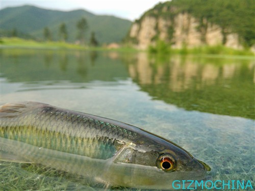 The Photo Of Xiaomi Mi2 8MP Camera Shoot Sample - Gizmochina