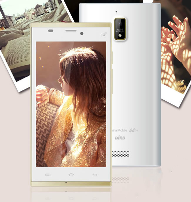 The BIRD L600 4G phone has a 5-inch screen and 1.3GHz processor ...