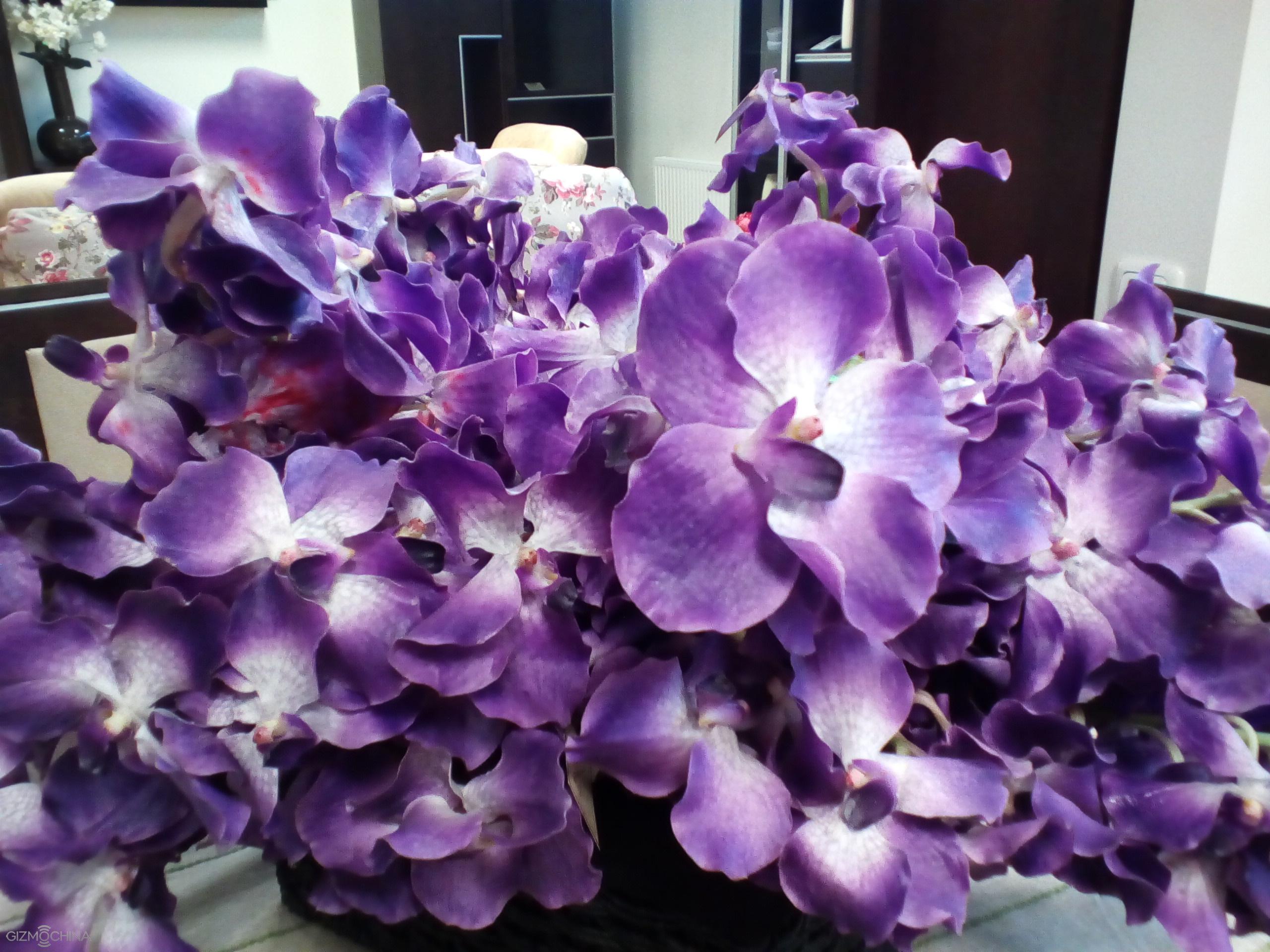 TCL 302U Review - Gizmochina