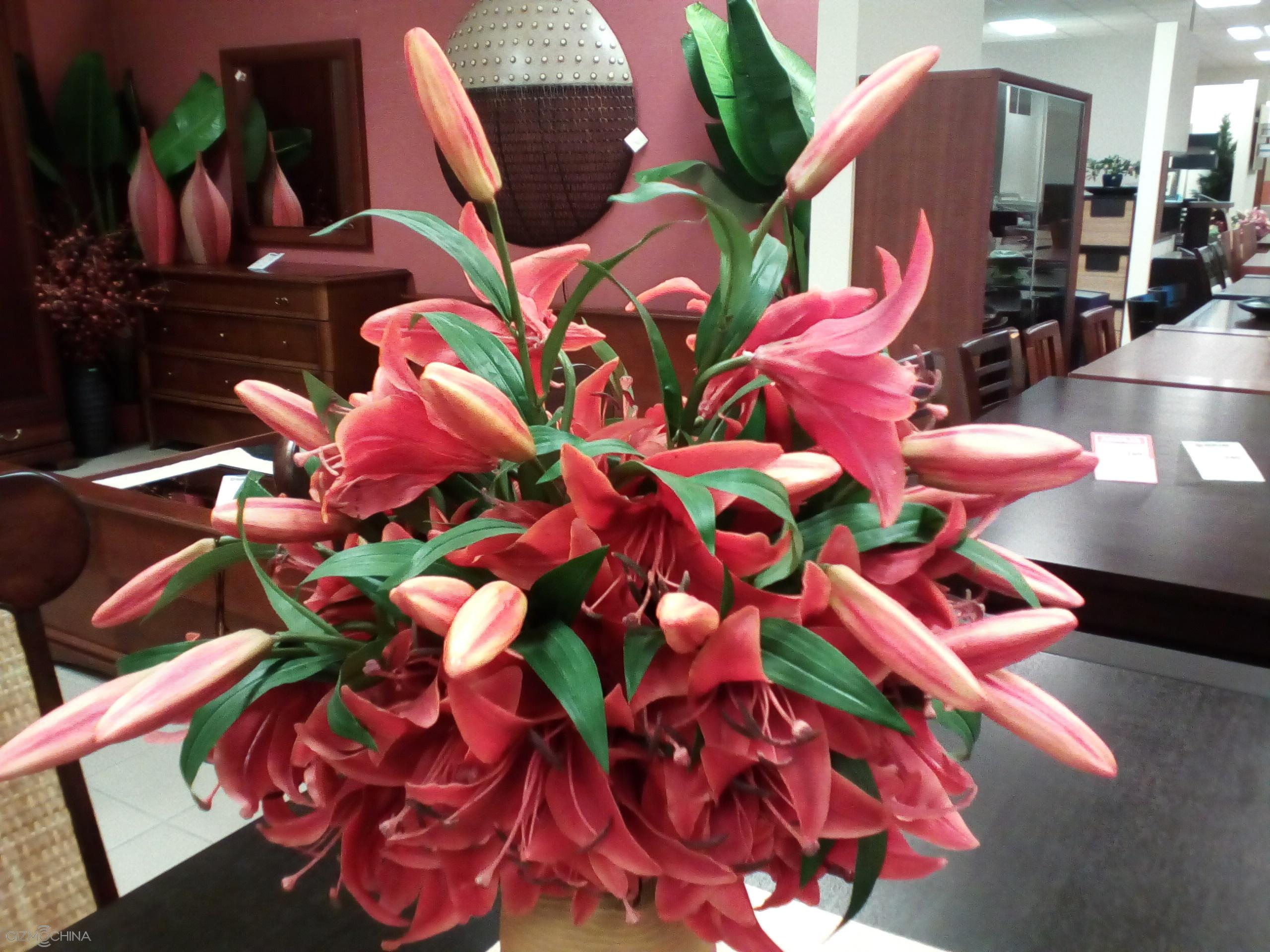 TCL 302U Review - Gizmochina