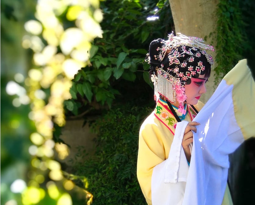 Xiaomi Redmi Pro's Dual cameras explained, plus Official Camera Samples ...