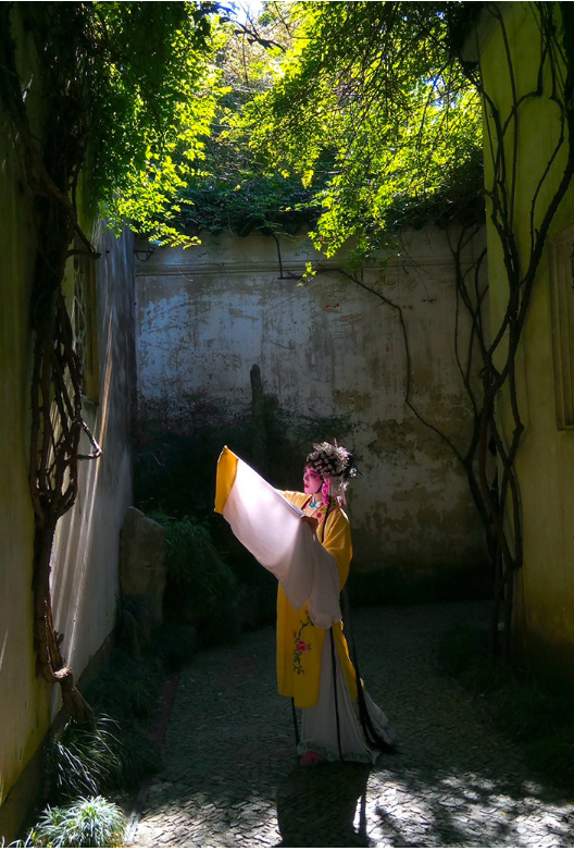 Xiaomi Redmi Pro's Dual cameras explained, plus Official Camera Samples ...