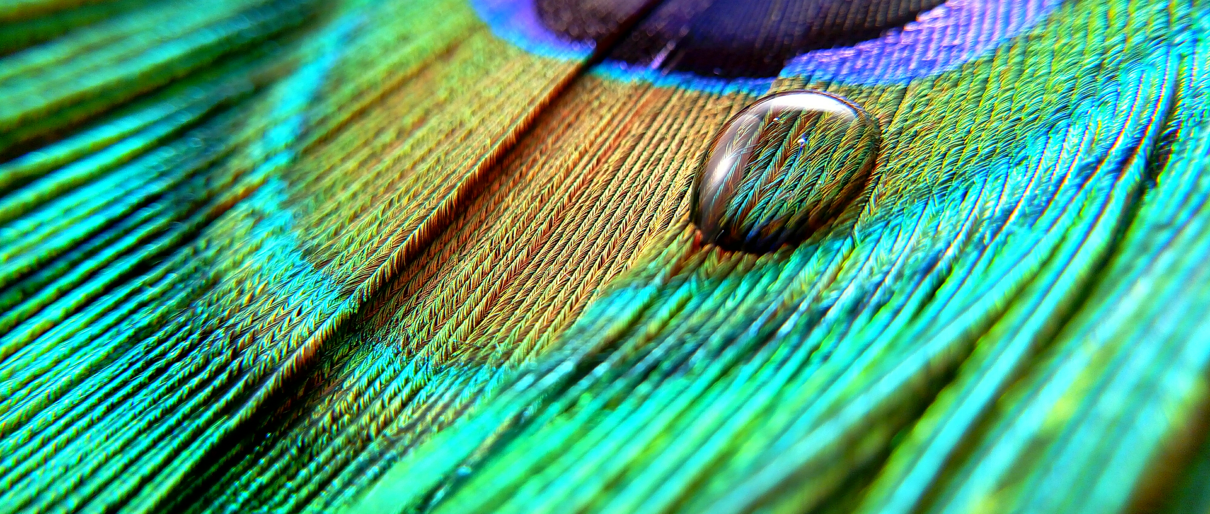 Meizu MX6 12MP Sony IMX386 Official Camera Samples Released - Gizmochina