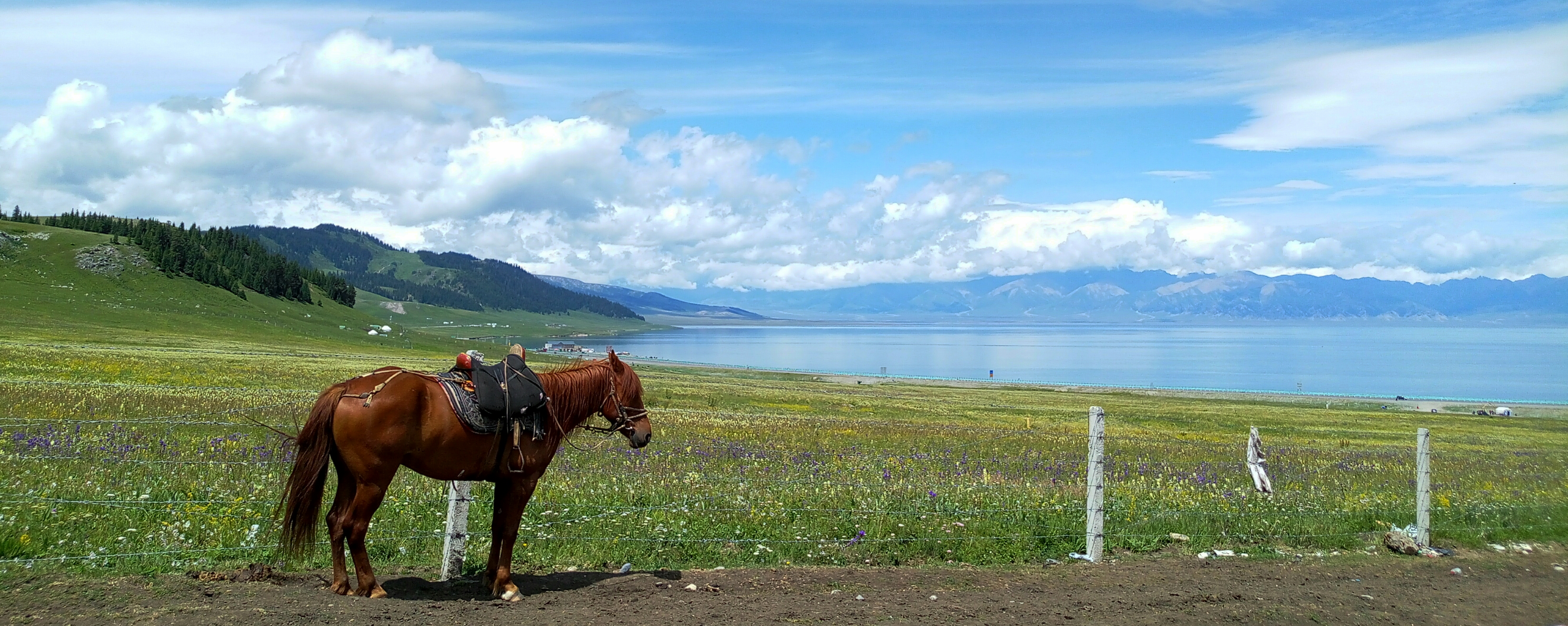 Meizu MX6 12MP Sony IMX386 Official Camera Samples Released - Gizmochina