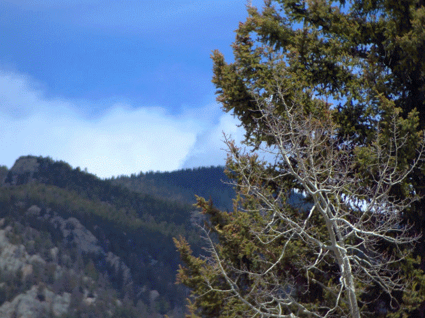 Cyclops Pocket Camera Launched as World's Smallest 4K Interchangeable ...