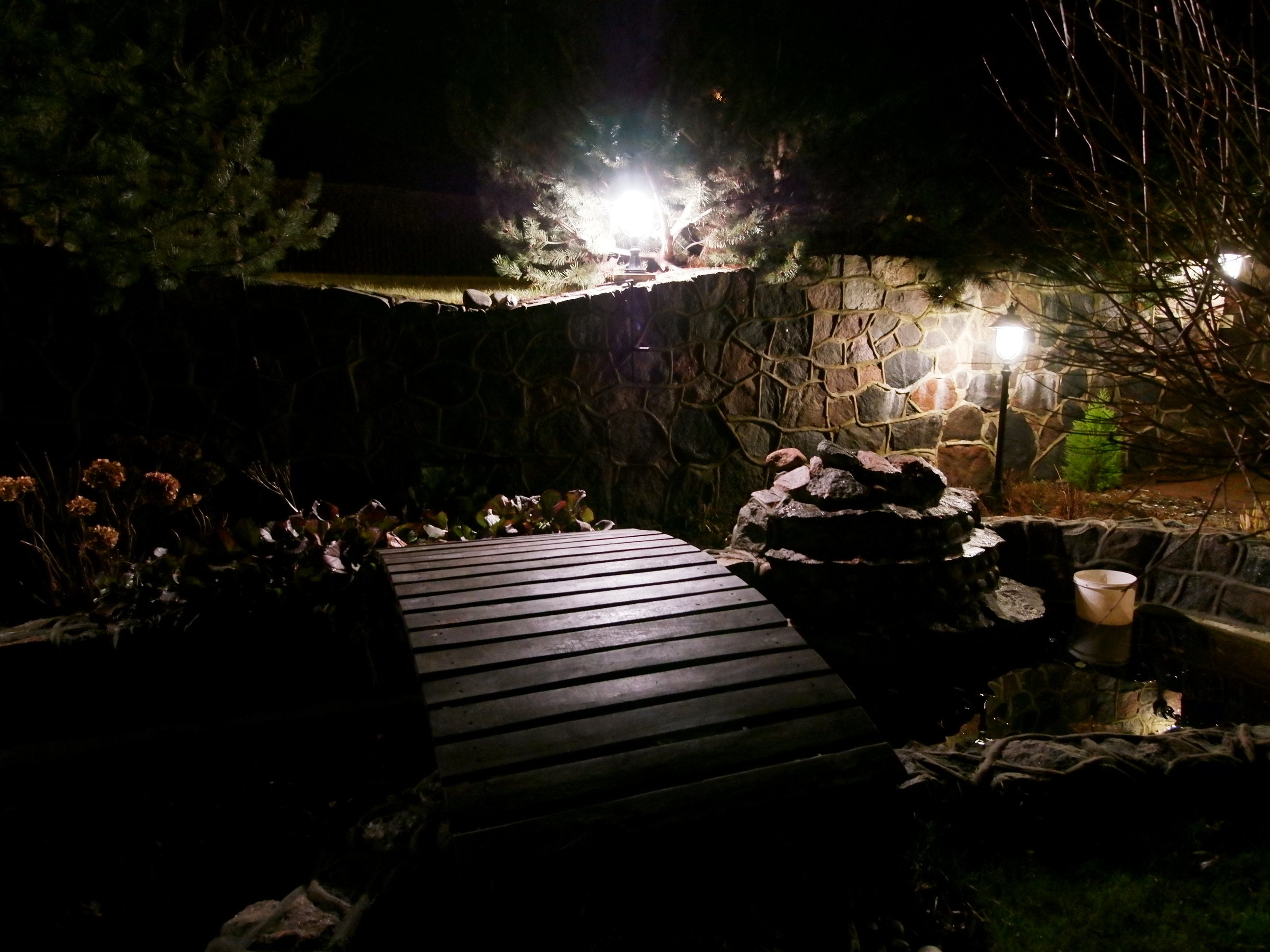 YI M1 Mirrorless Digital Camera Review - Gizmochina