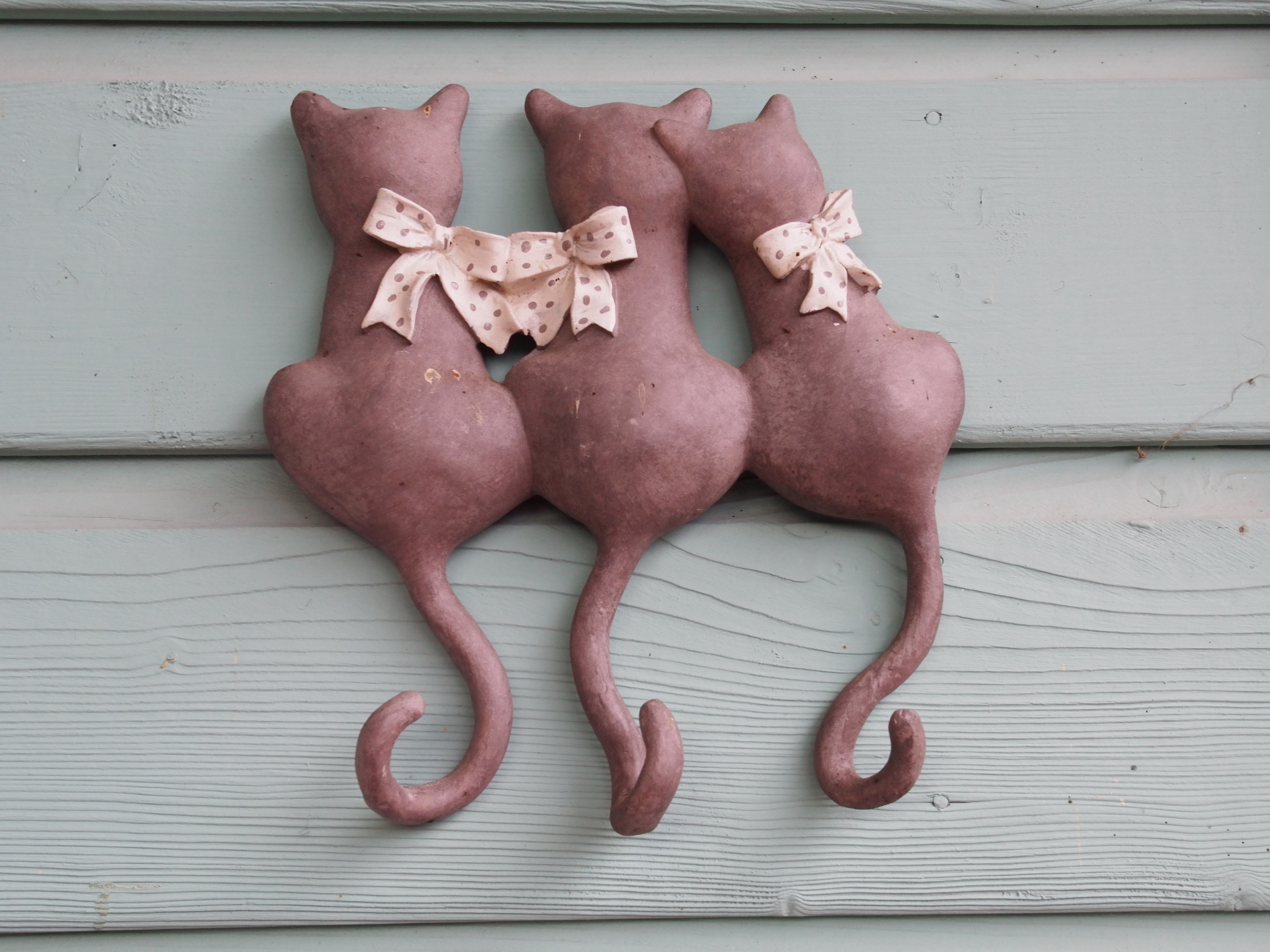 YI M1 Mirrorless Digital Camera Review - Gizmochina