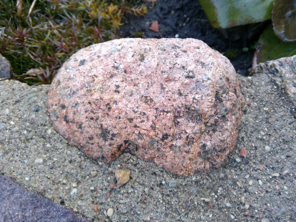 AGM A8 Review - A Decent Budget Rugged Smartphone - Gizmochina