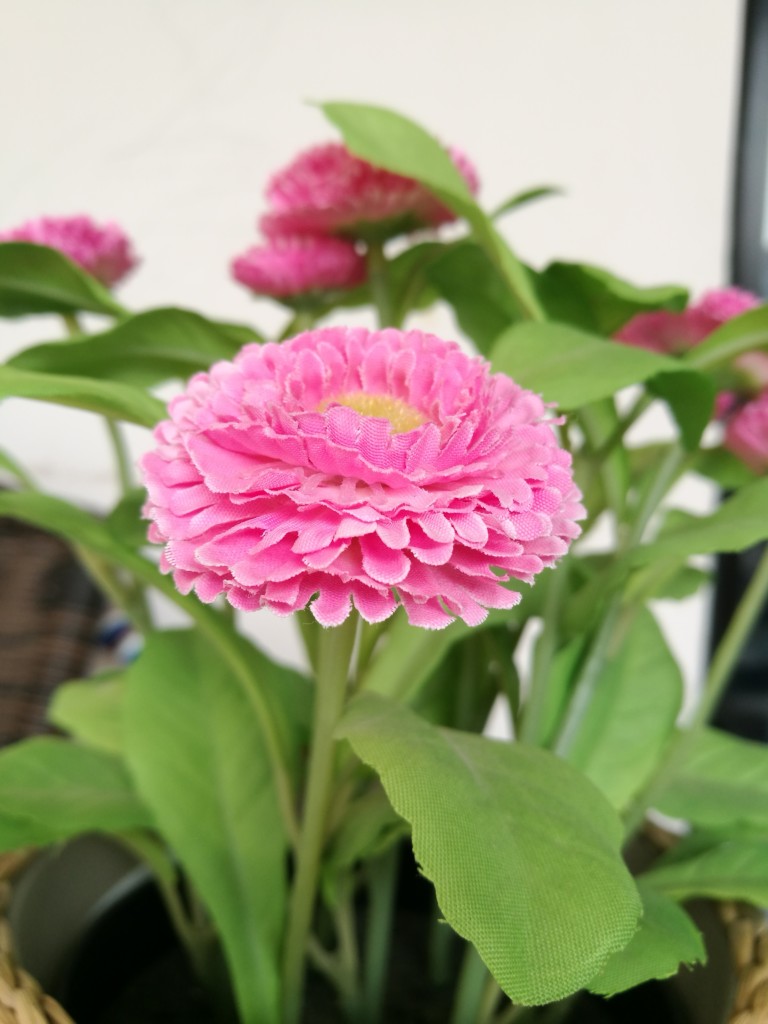 Dual Camera Shootout: The Xiaomi Mi 6 and Huawei P9 Play A Game of I ...