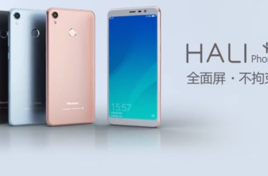 ASUS X018DC Seen on TENAA With 5.7'' 18:9 Display & Dual Rear Cameras ...