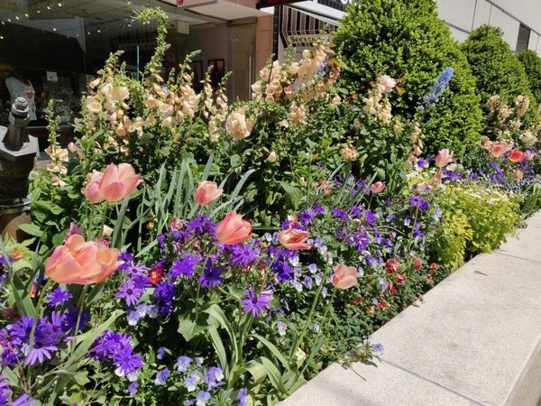 OnePlus 6 Camera Samples Released by OnePlus CEO Reveals Photography ...