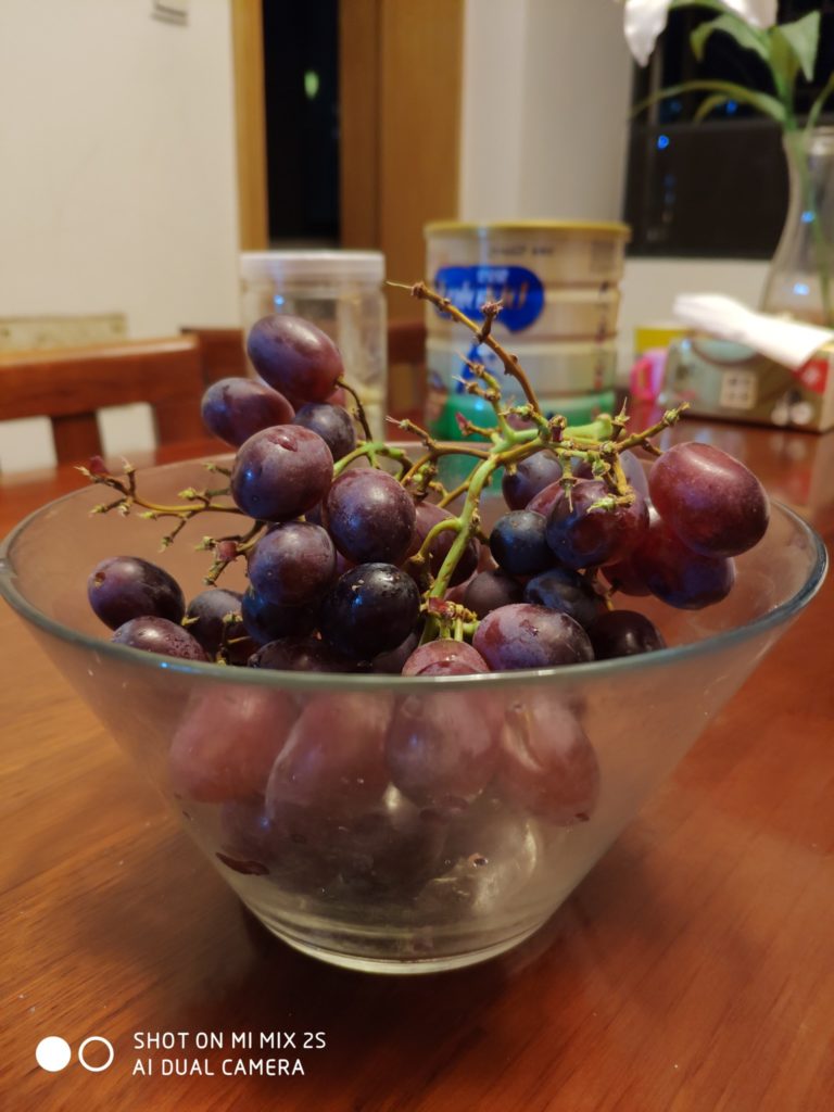 Xiaomi Mi Mix 2S vs Mi Mix 2: Camera Shootout - See The Improvement ...