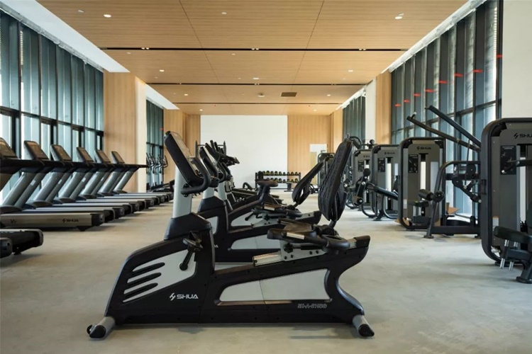 Vivo's sprawling industrial park/headquarters completed in China ...