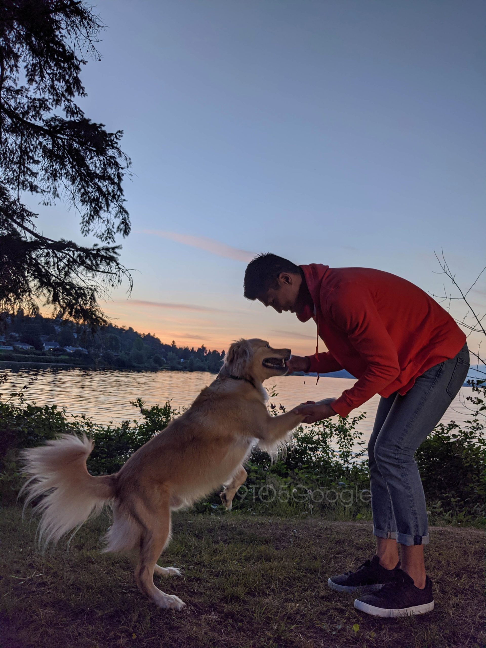 Google Pixel 4 camera samples boast of its exceptional Photography ...