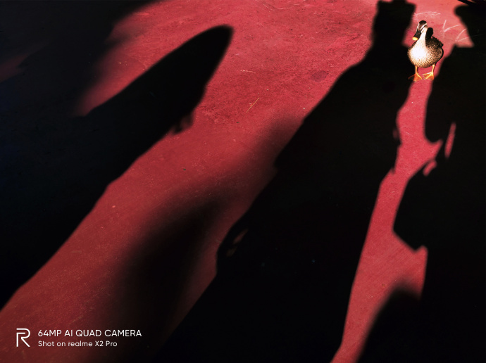 Realme X2 Pro new camera samples revealed; Improved fingerprint scanner ...