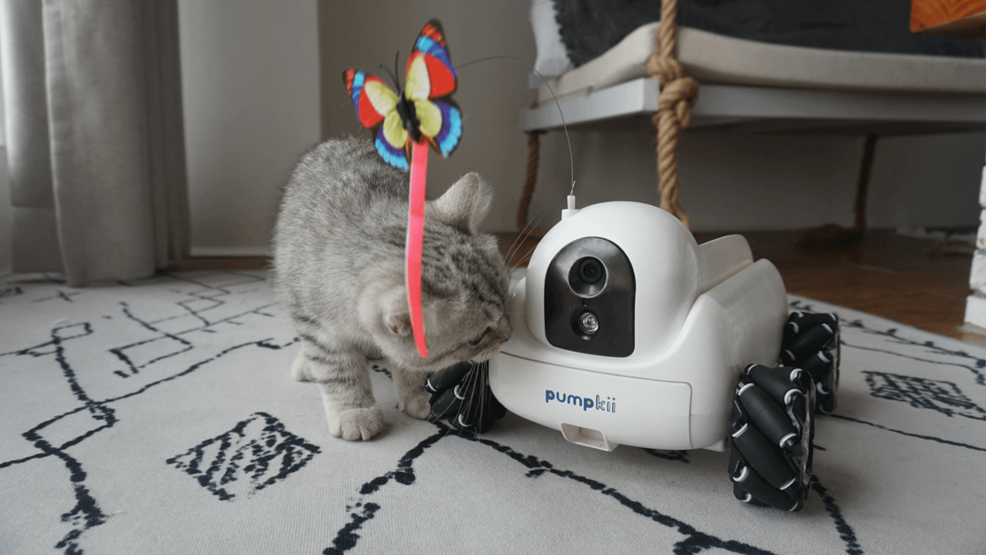 Pumpkii modular robot for pets surfaces on Indiegogo at attractive ...