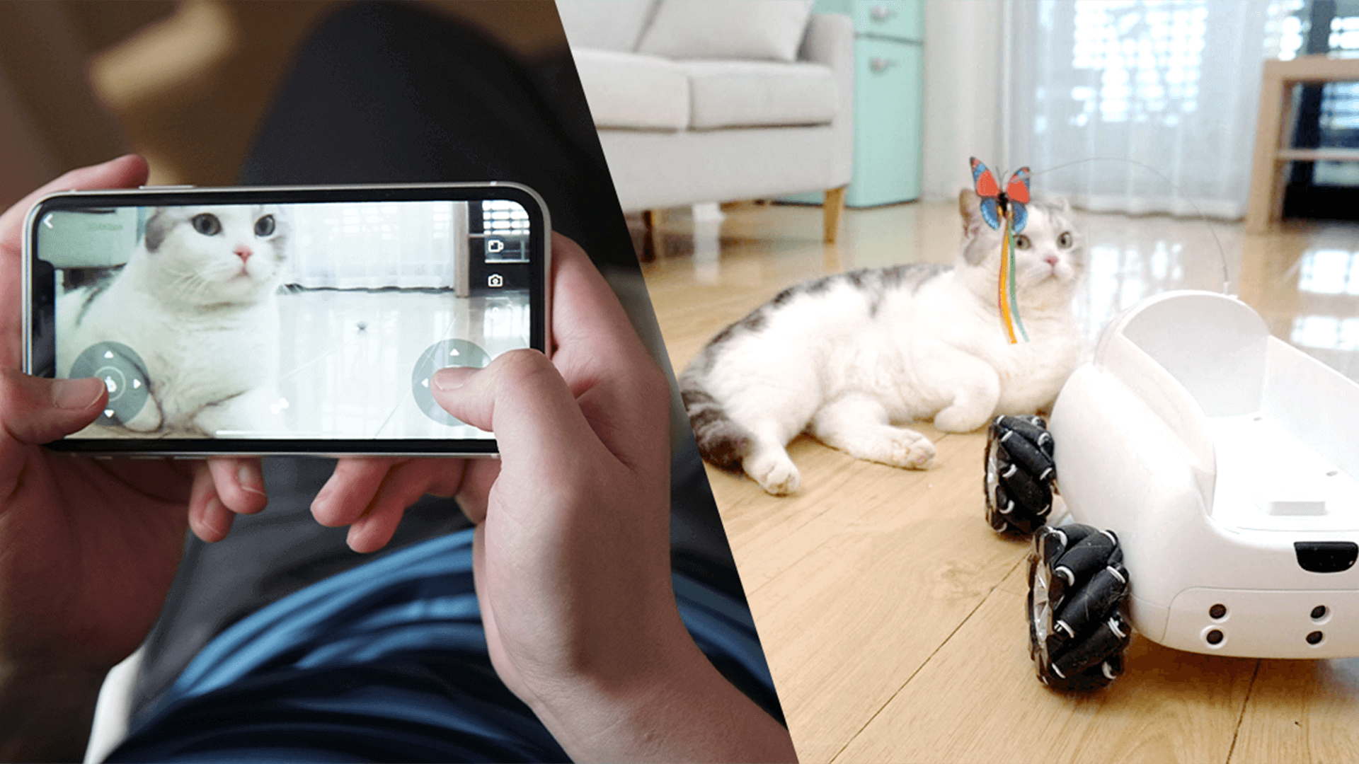 Pumpkii modular robot for pets surfaces on Indiegogo at attractive ...