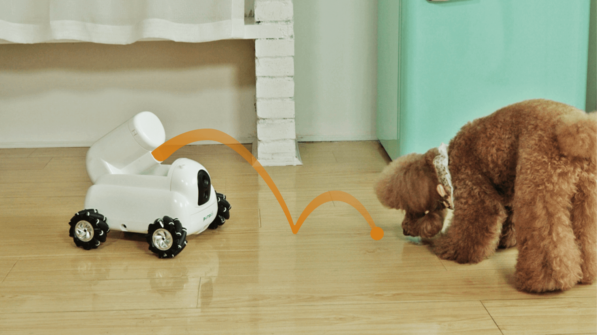Pumpkii modular robot for pets surfaces on Indiegogo at attractive ...