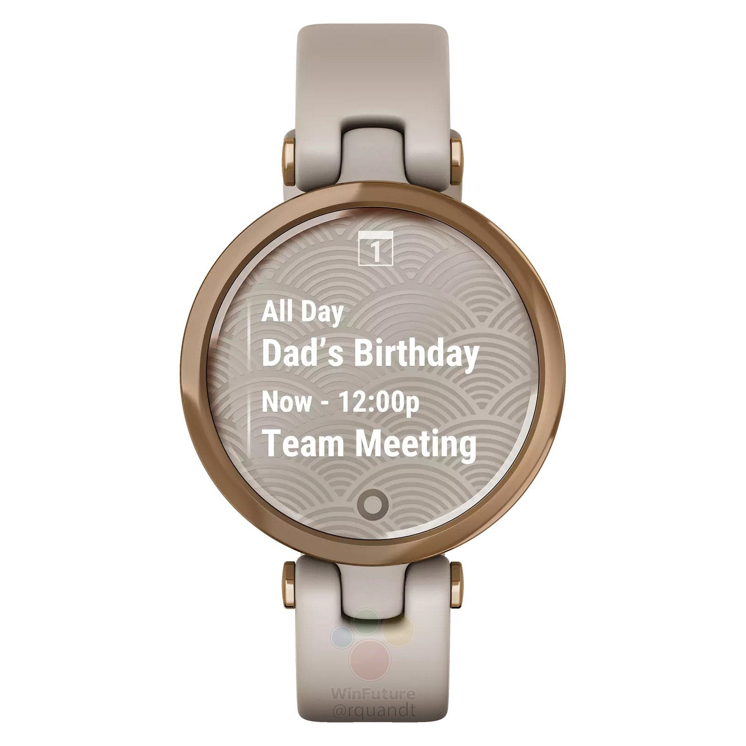 The Garmin Lily series of smartwatches is targeted at women; starts at ...