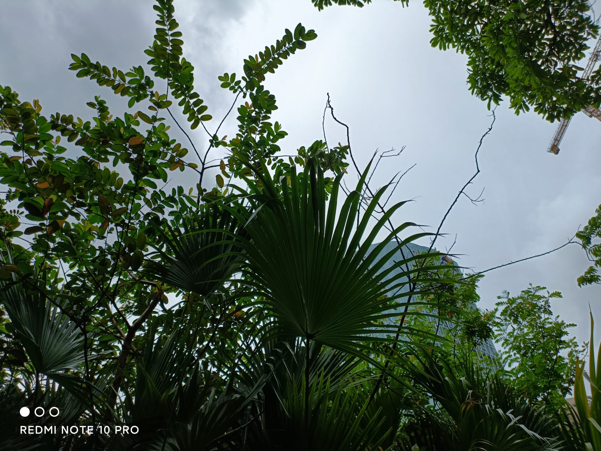 Redmi Note 10 Pro China version Full Review: Budget phone with powerful ...