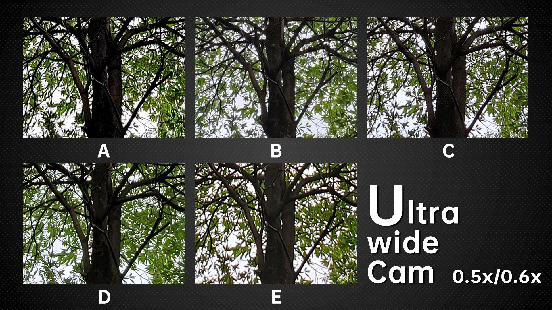 Best Camera Smartphones of H1 2021: S21 Ultra, Mi 11 Ultra, X60 Pro+ ...