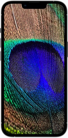 Apple's iPhone 13 Pro and Pro Max launch with 120Hz displays, upgraded ...