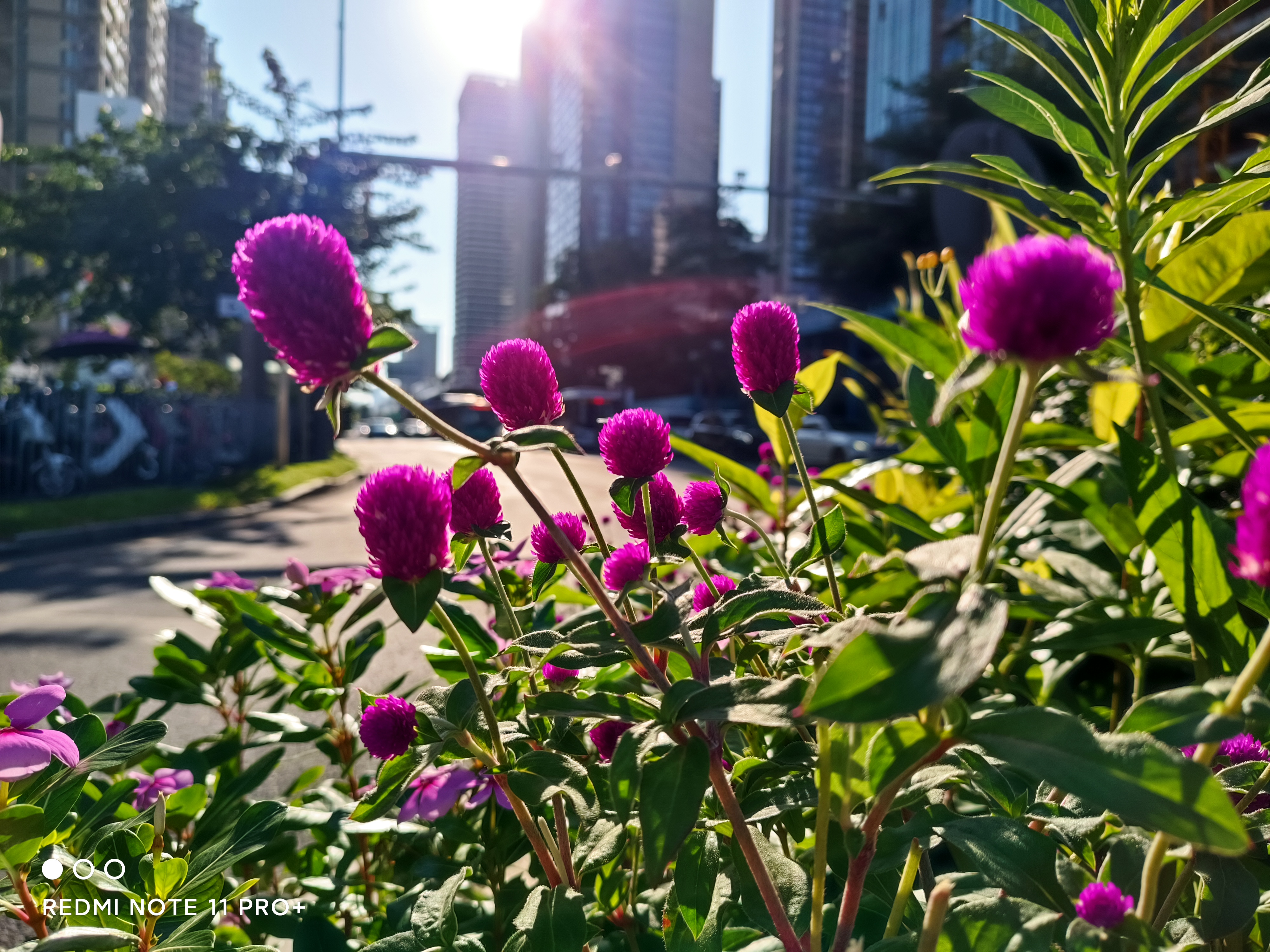 Redmi Note 11 Pro vs Note 11 Pro Plus - Is 120W Fast Charging worth the ...