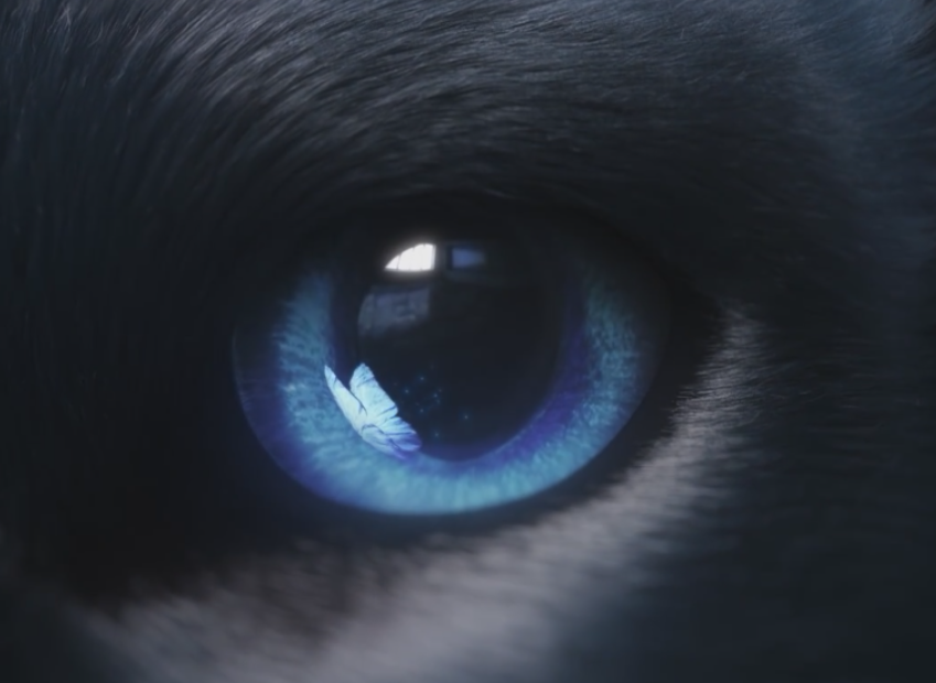 OPPO Reno7 series to sport world’s first Sony IMX709 cat-eye lens ...