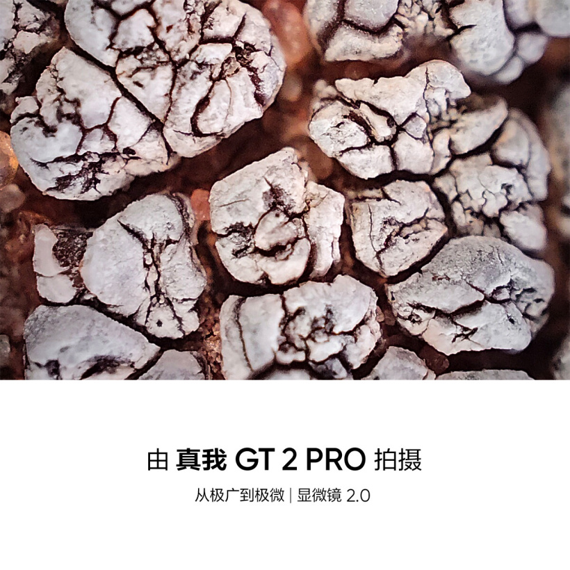 Realme GT 2 Pro image samples reveal a highly capable camera setup ...