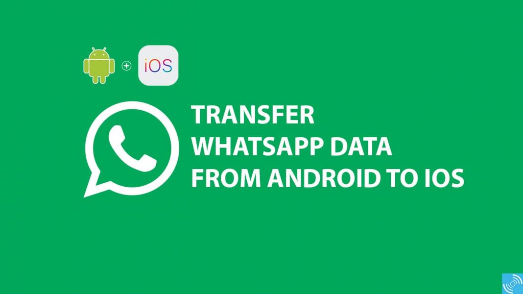 How to transfer WhatsApp chats from Android to iOS - Gizmochina