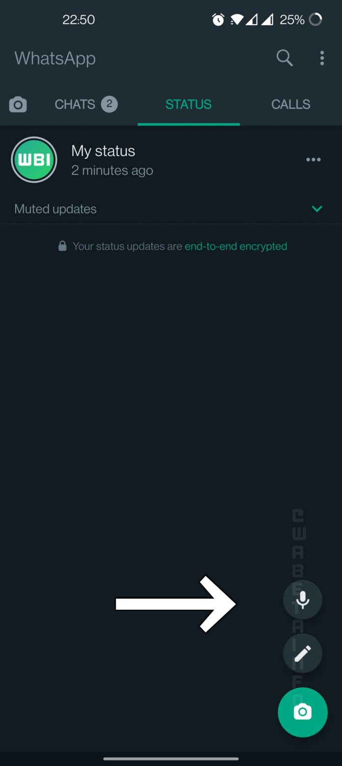 WhatsApp beta testing new feature that lets you post 'voice notes ...