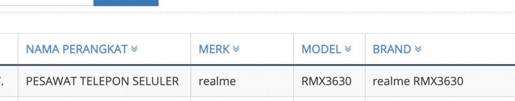 Realme 10 spotted on NBTC, BIS, EEC, and Indonesia Telecom database, could launch soon - Gizmochina