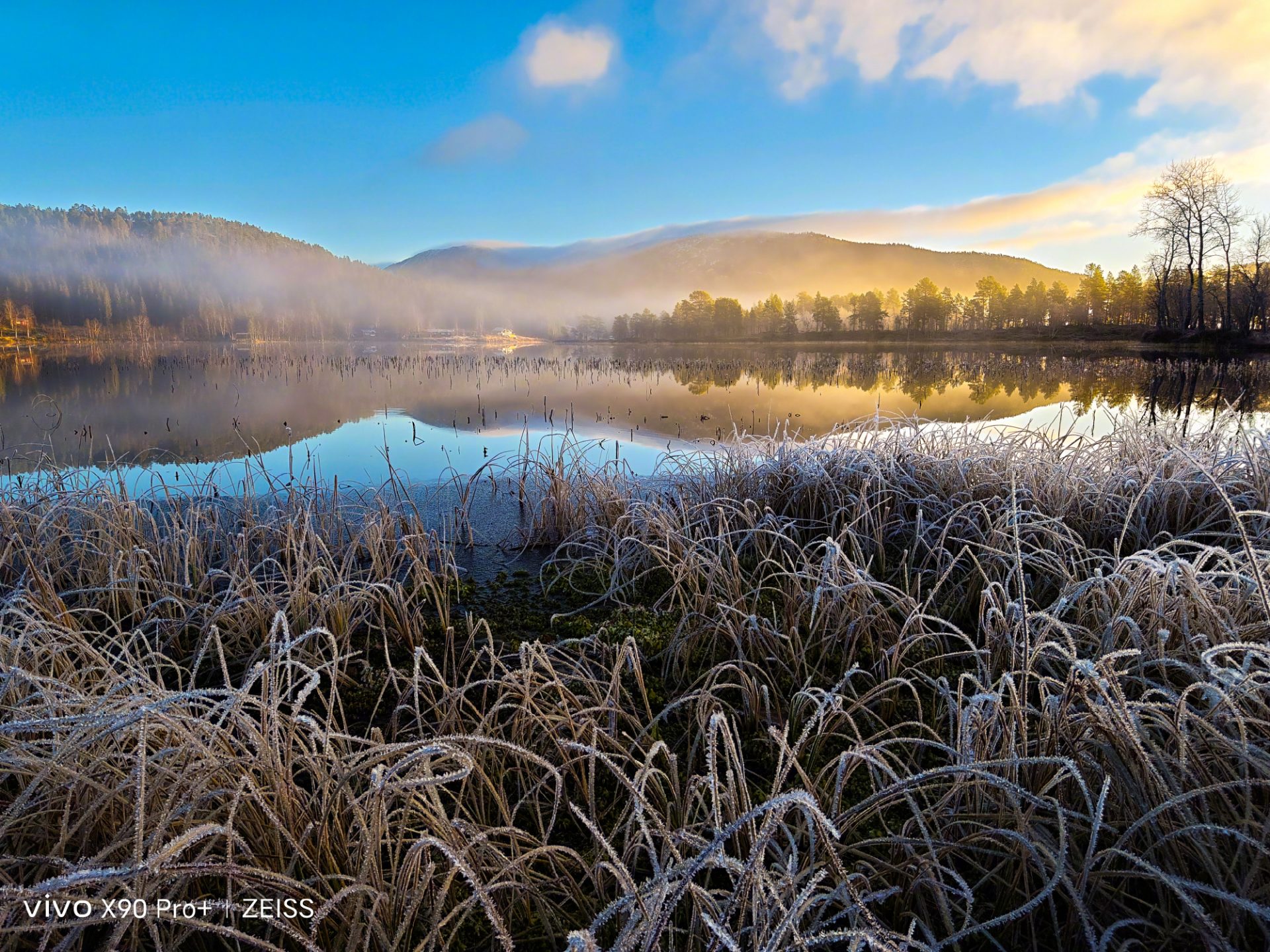 Vivo shares stunning X90 Pro+ camera samples, Tilt-shift photography ...