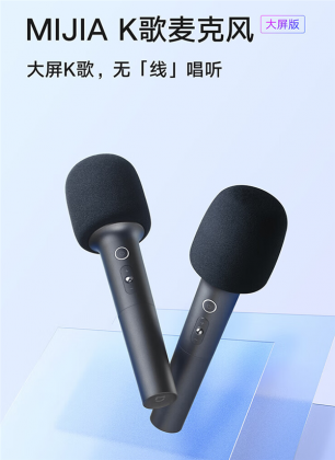 Xiaomi MIJIA Karaoke Microphone large-screen version with a USB ...