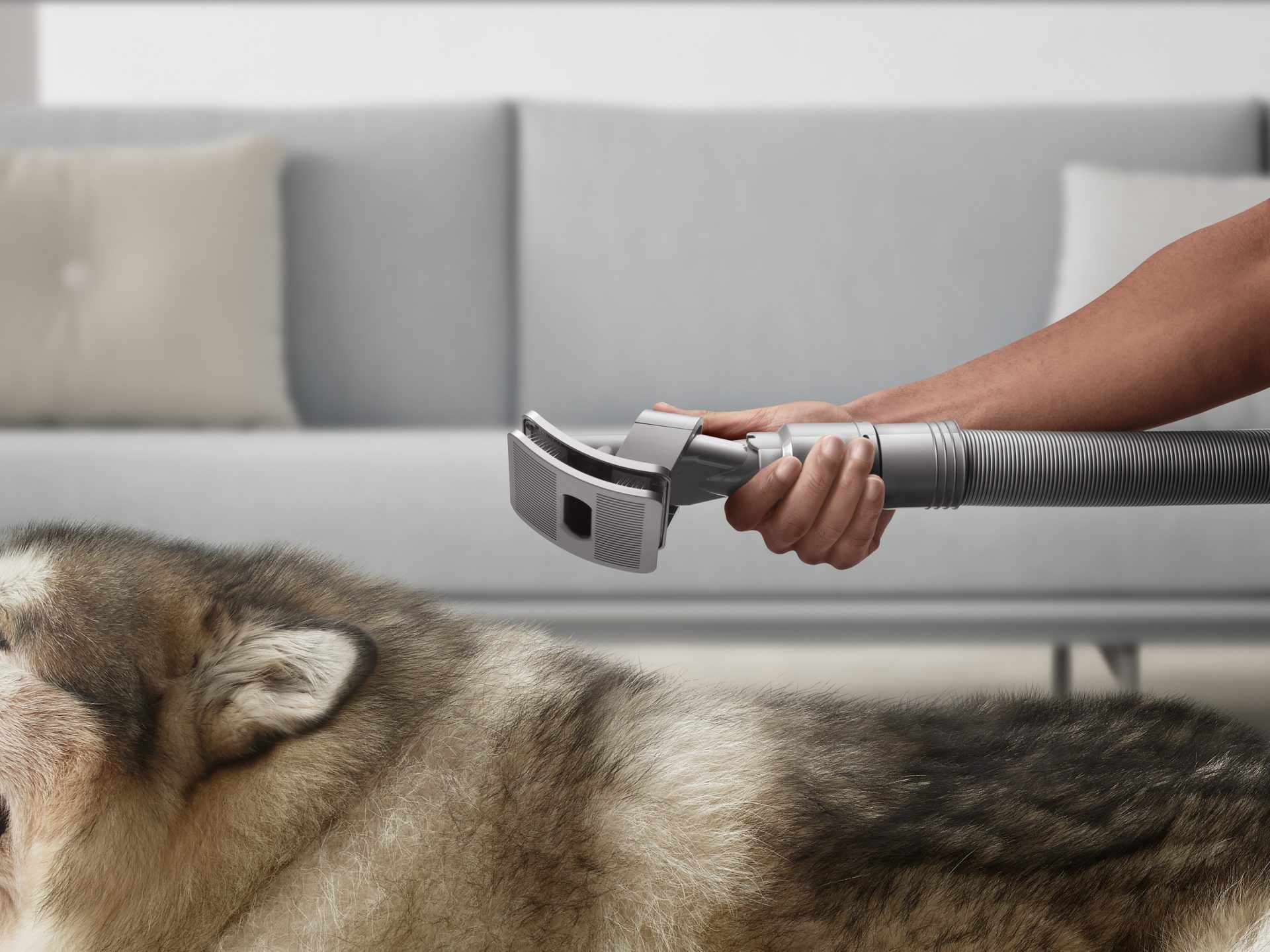 Dyson Launches New Grooming Kit for Pet Owners in India - Gizmochina