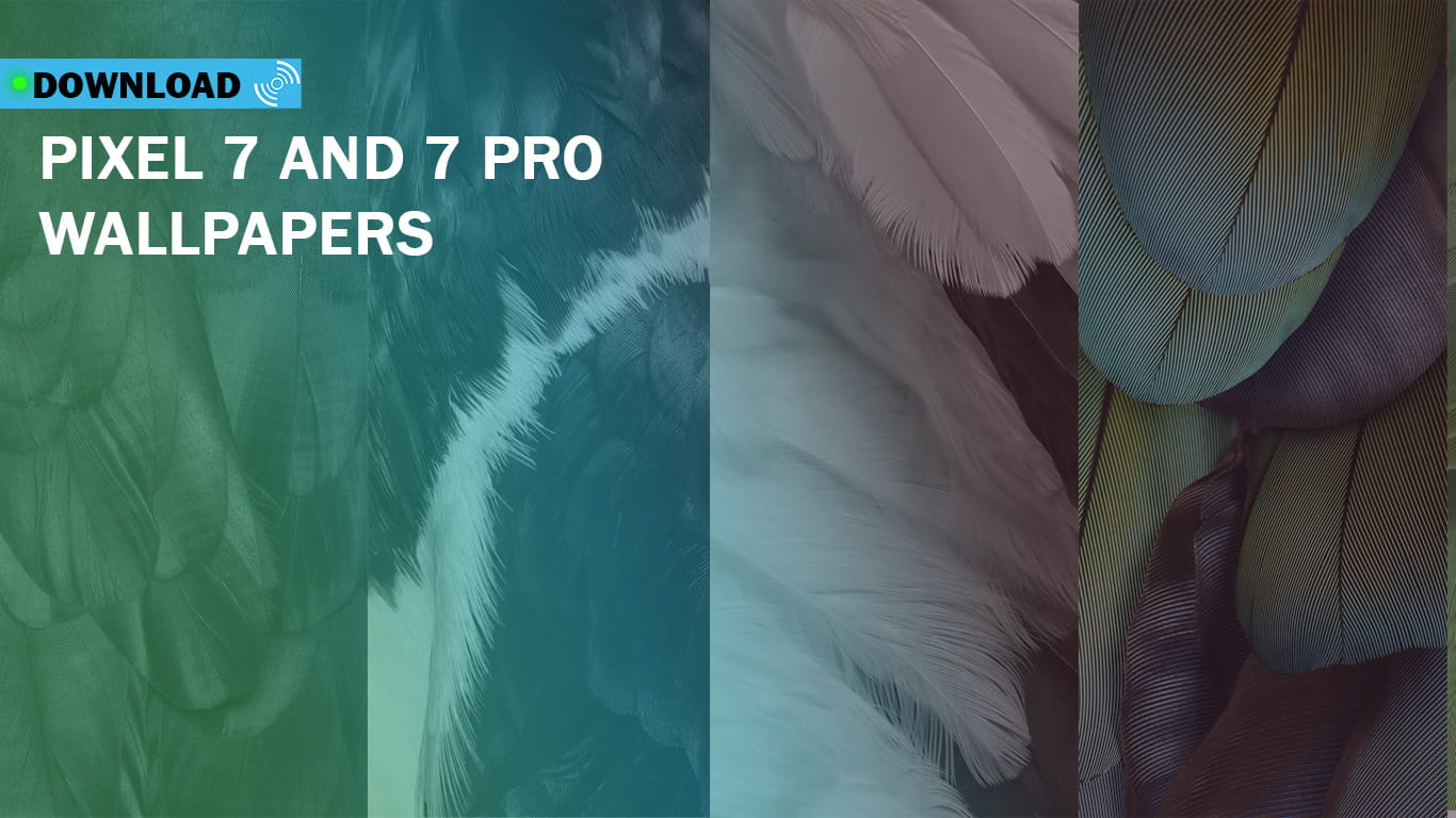 Download Pixel 7 and Pixel 7 Pro Wallpapers for your Smartphone ...