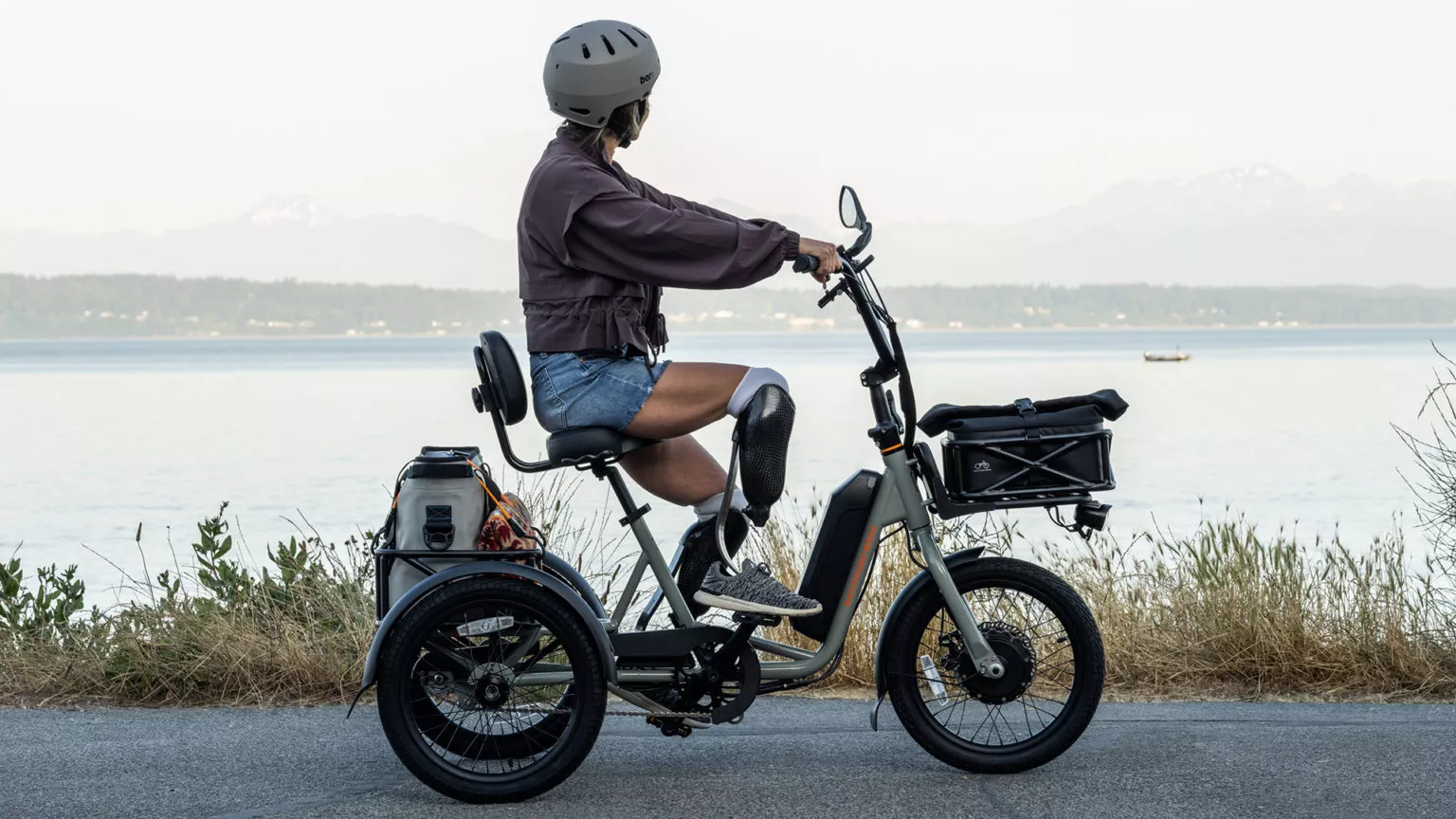 Rad Power Unveils the Rad Trike Three-wheeler EV With a Max 416 Pounds ...