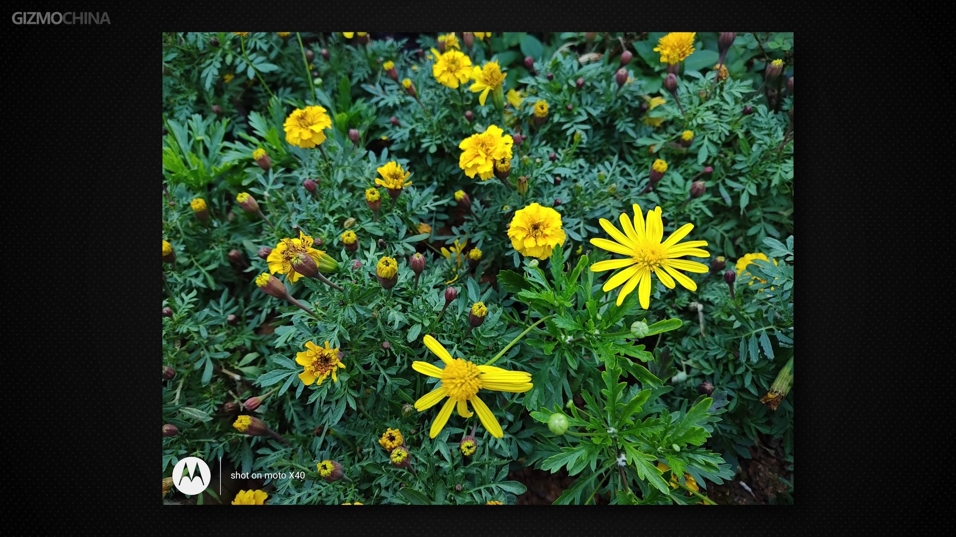 Motorola X40 Review: Good, but could do better - Gizmochina