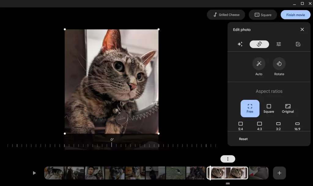 Google Photos Update Brings Exciting New Movie Editor Feature to ...