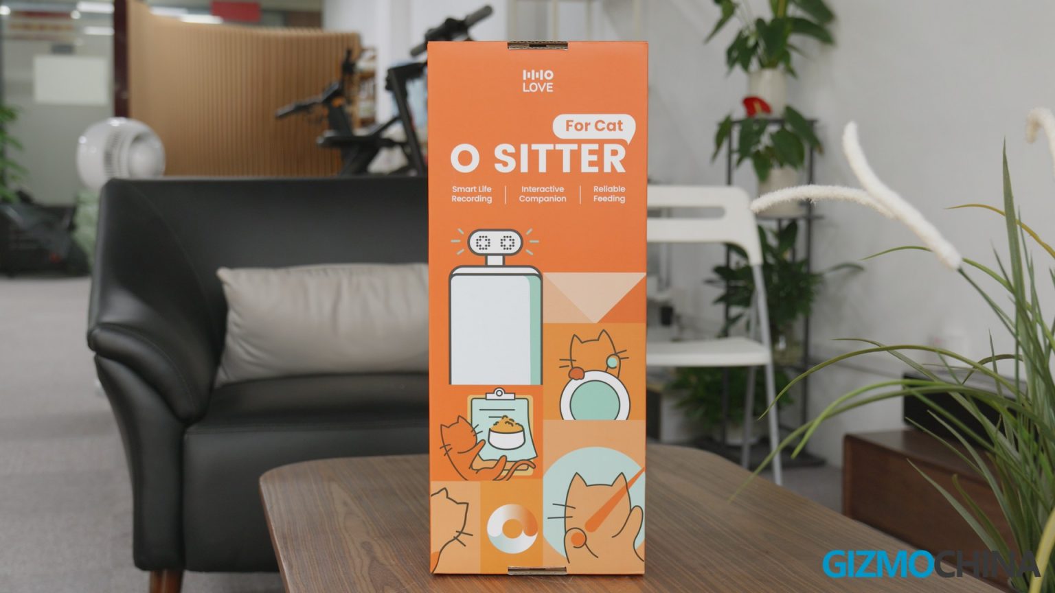 HHOLOVE O Sitter Review: Best companion AI robot for Cats - Gizmochina