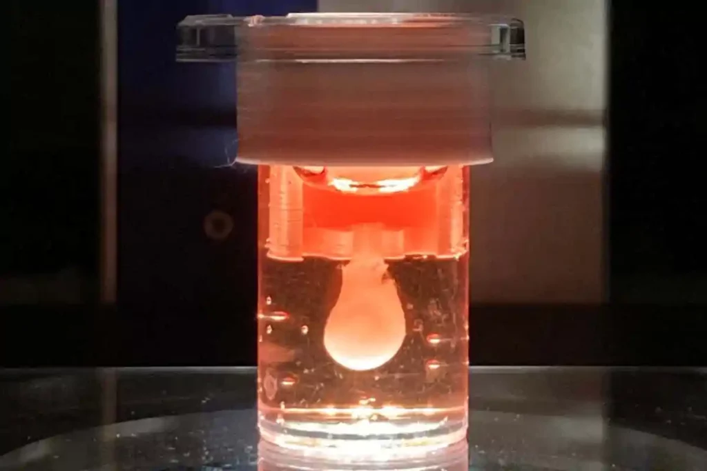 Scientists Achieve Breakthrough in 3D Printed Miniature Beating Heart ...