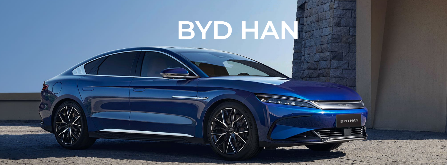 China's Electric Vehicle Market Thrives as Domestic Models Dominate ...