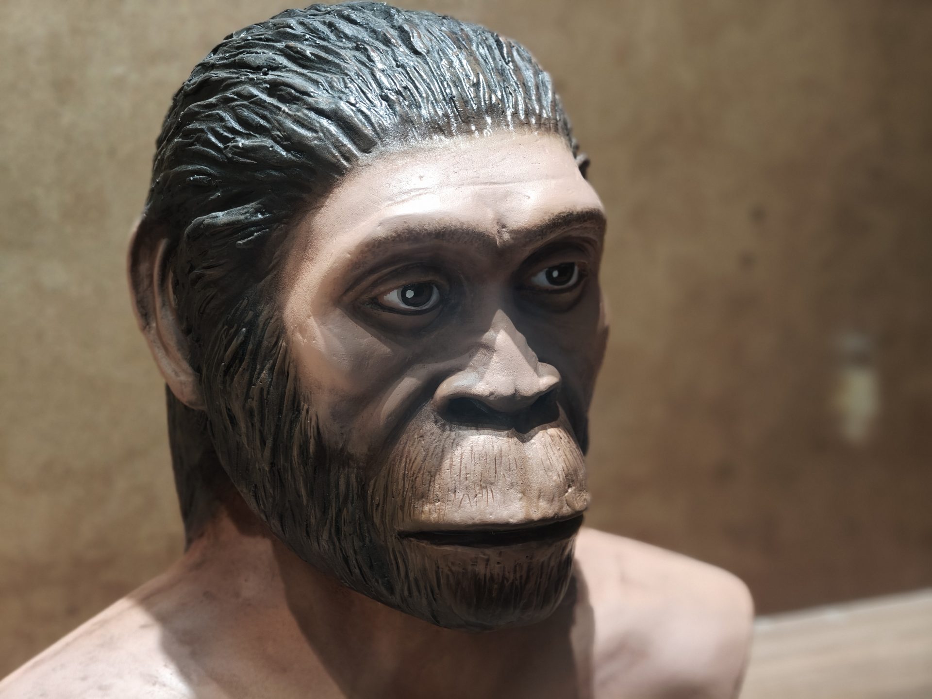 Oppo Reno 10 Pro Plus Review: Elevates Oppo to Premium Segment in India ...