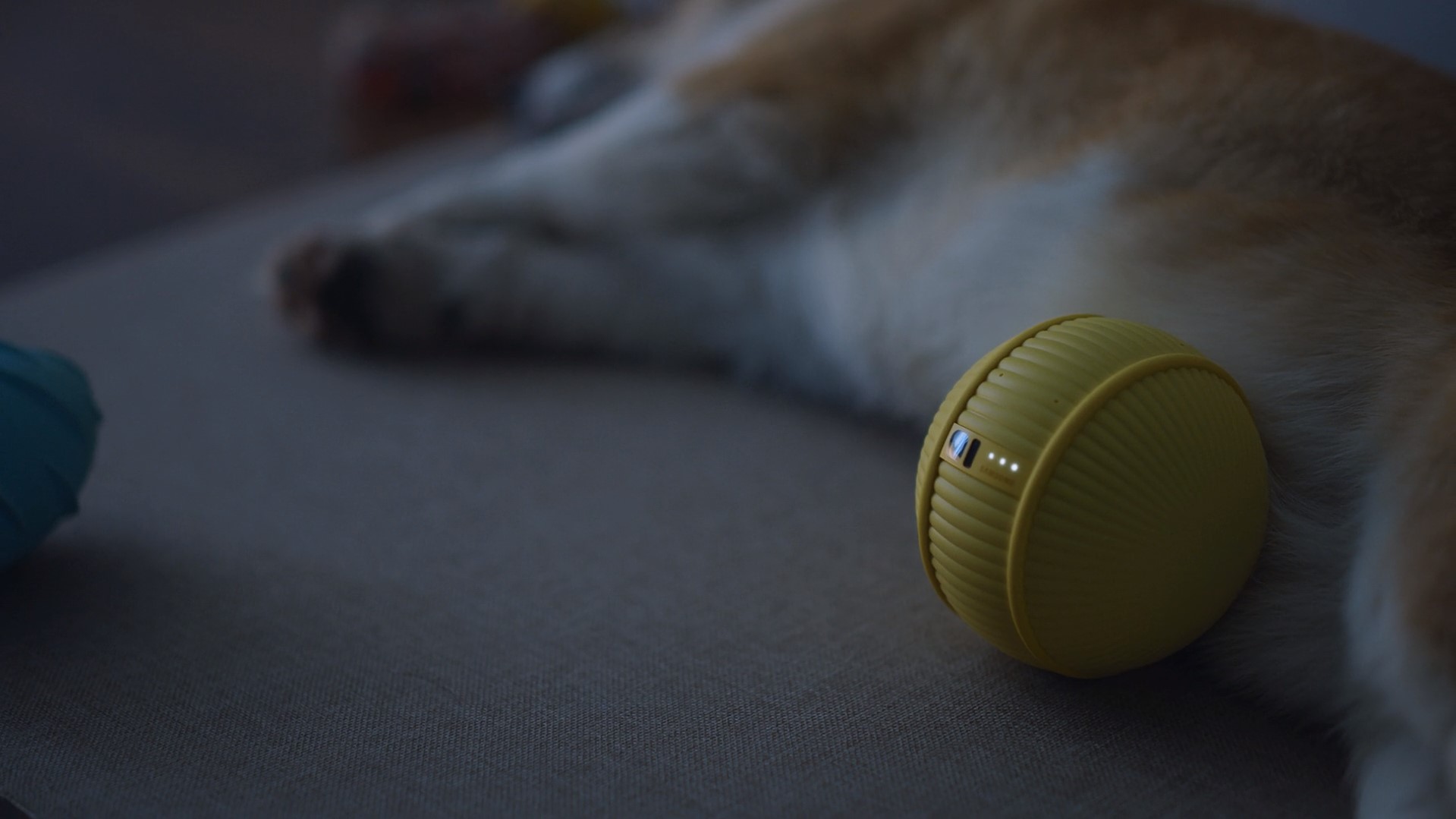 Samsung files robotics patents for pet emotion detection, spray robots ...