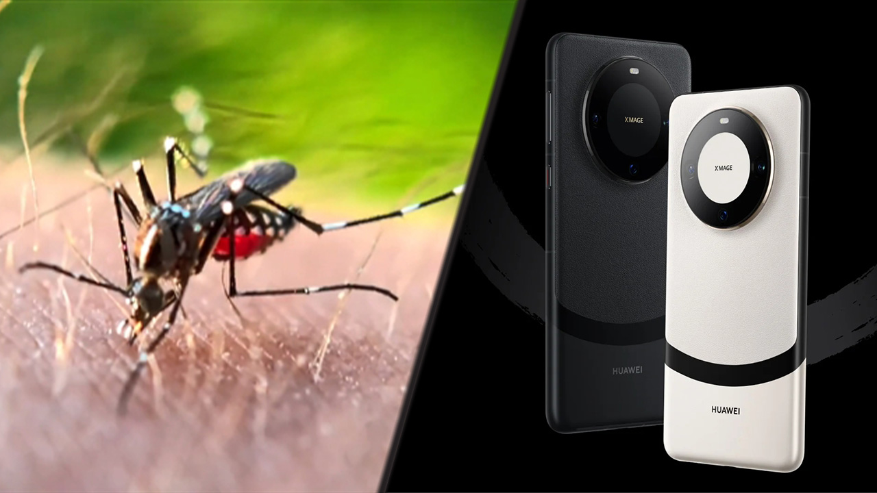 The Best Macro Camera on a Smartphone: Huawei Mate 60 Pro+ Macro Camera ...