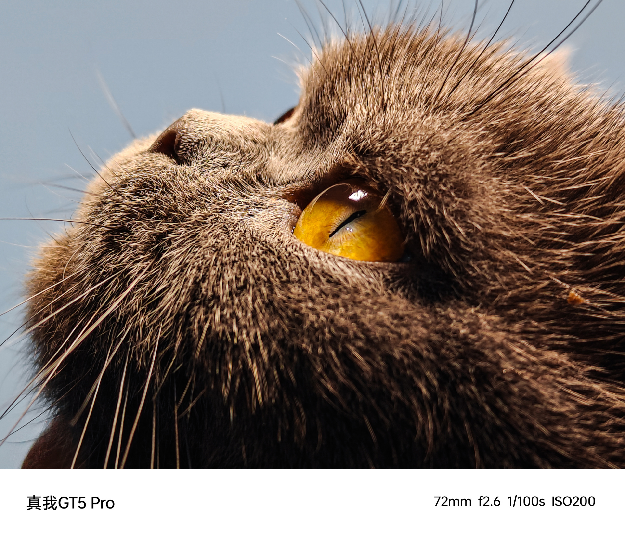 Realme GT 5 Pro’s 50MP IMX890 periscope telephoto camera samples ...