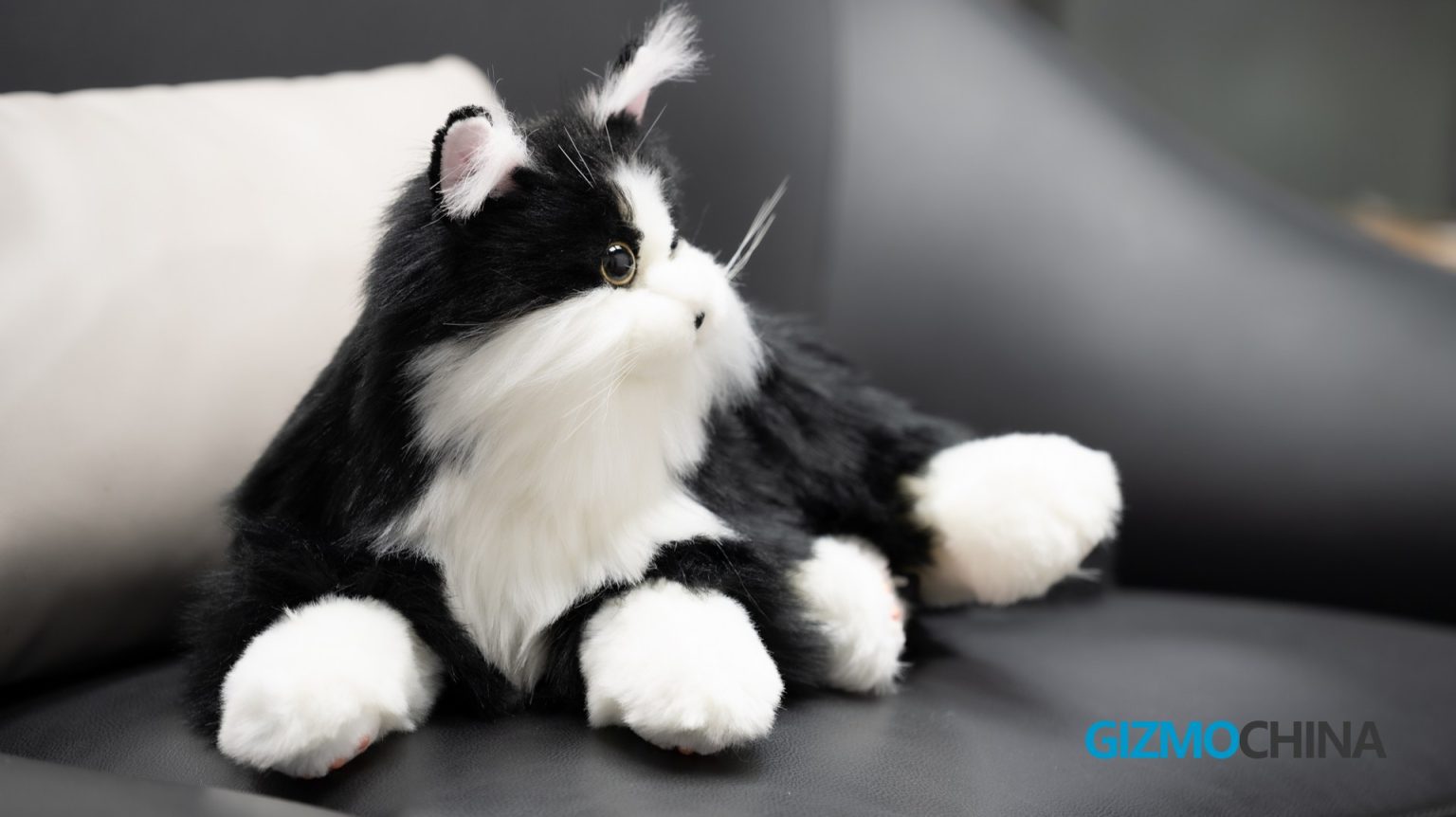 Revolutionizing Companionship: A Comprehensive Review of the Chongker ...