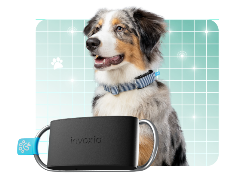 Invoxia Unveils Minitailz Smart Pet Tracker at CES 2024 - Gizmochina
