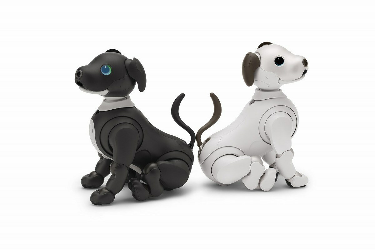Sony aibo Espresso AI robot dog launched in the US; comes with 3 year cloud plan - Gizmochina