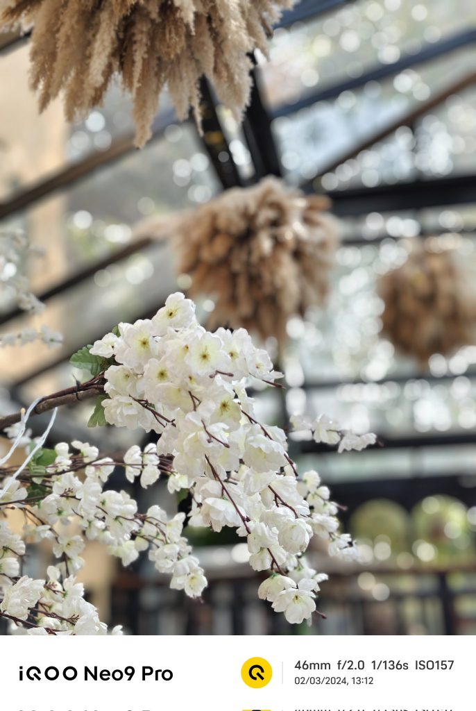 Here are the iQOO Neo 9 Pro camera samples - Gizmochina